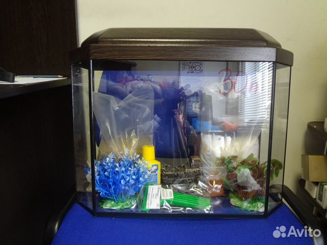 Панорамный аквариум 30л с комплектом и рыбками