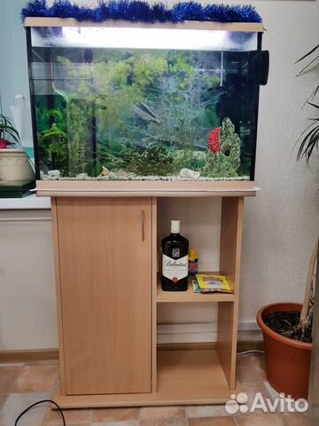 Аквариум 100 литров с оборудованием и тумбой