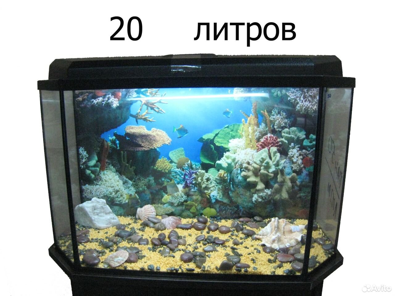 Аквариум 20 литров панорама