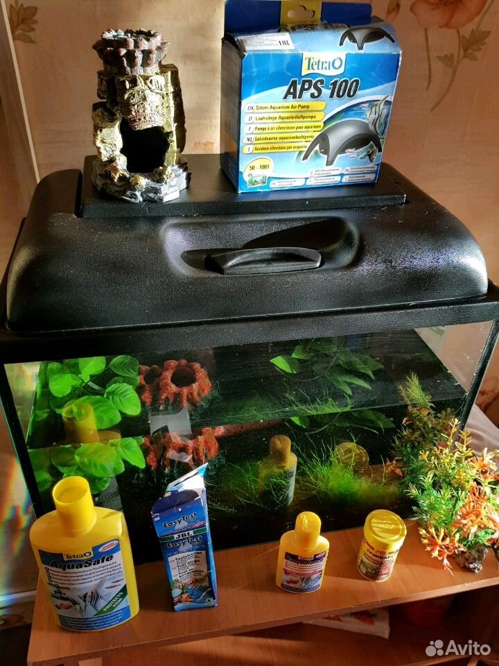Аквариум (полный набор)