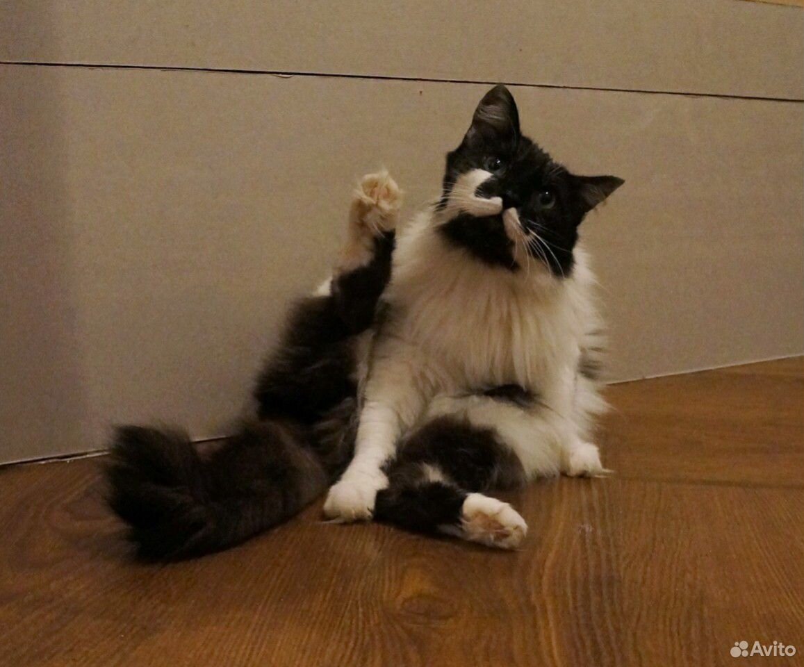 Улита Павловна