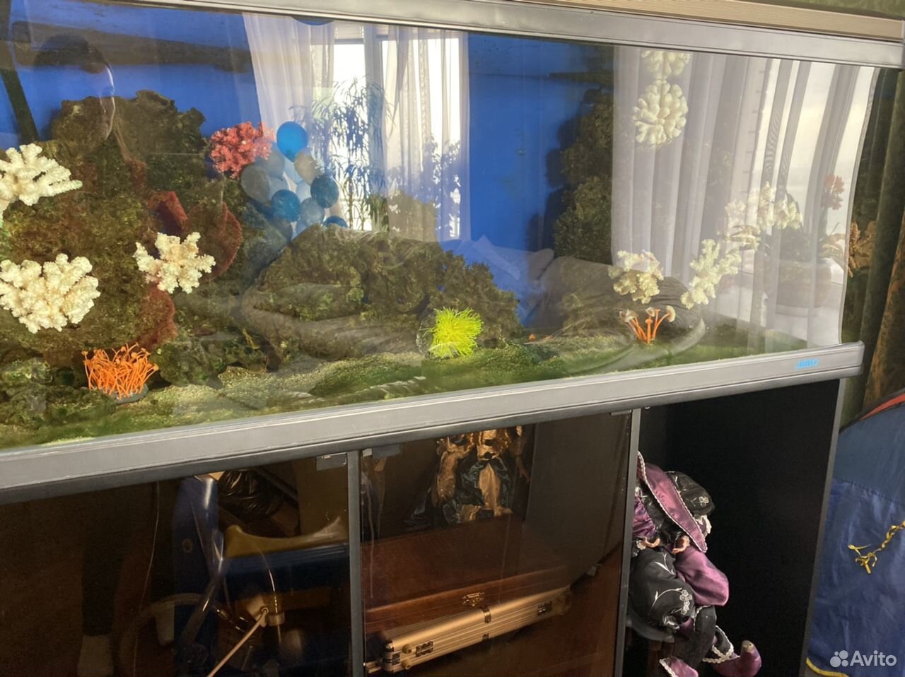 Аквариум