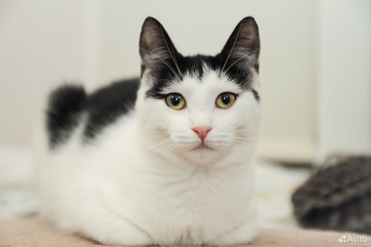 Облачко 8 мес