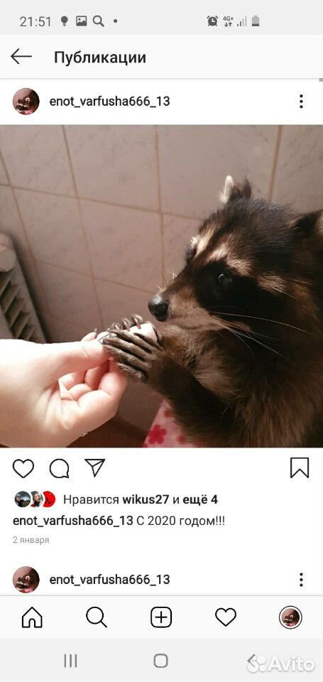 Ищем Девочку