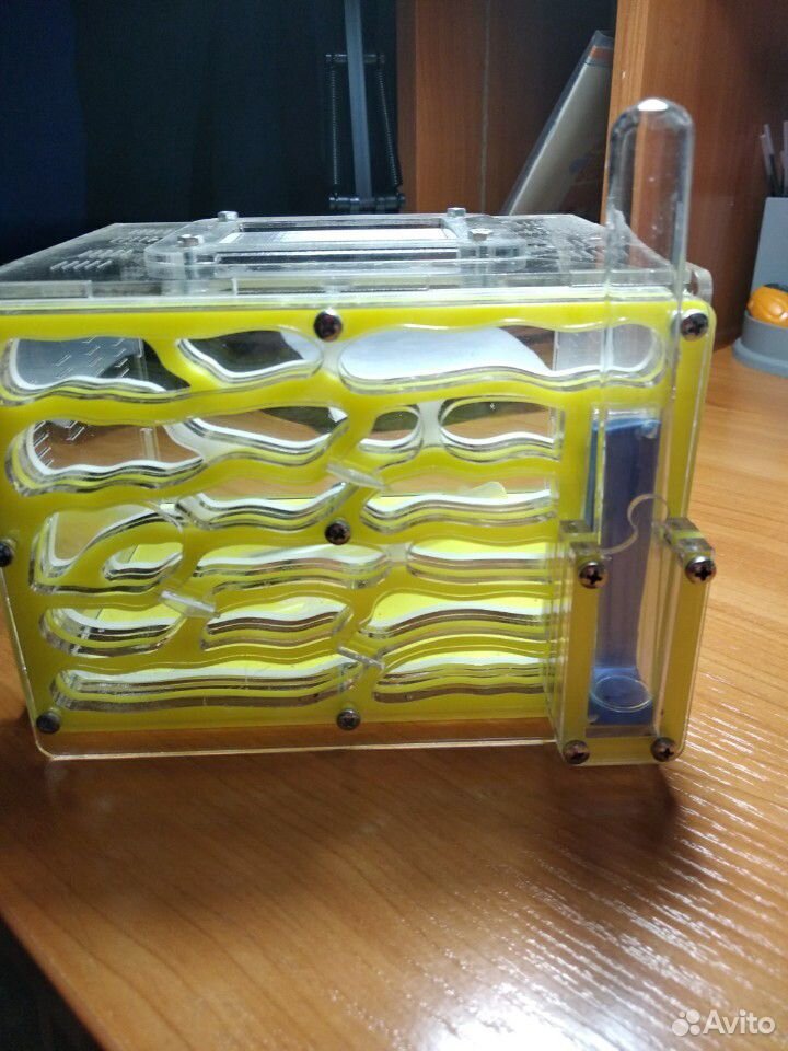 Формикарий, муравьиная ферма