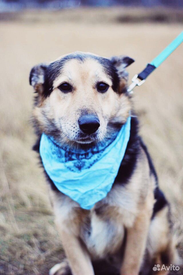 Тихуша Венечка в дар