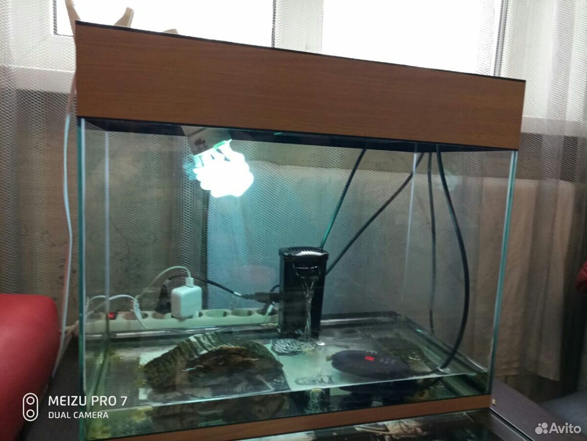 Аквариум с черепахой