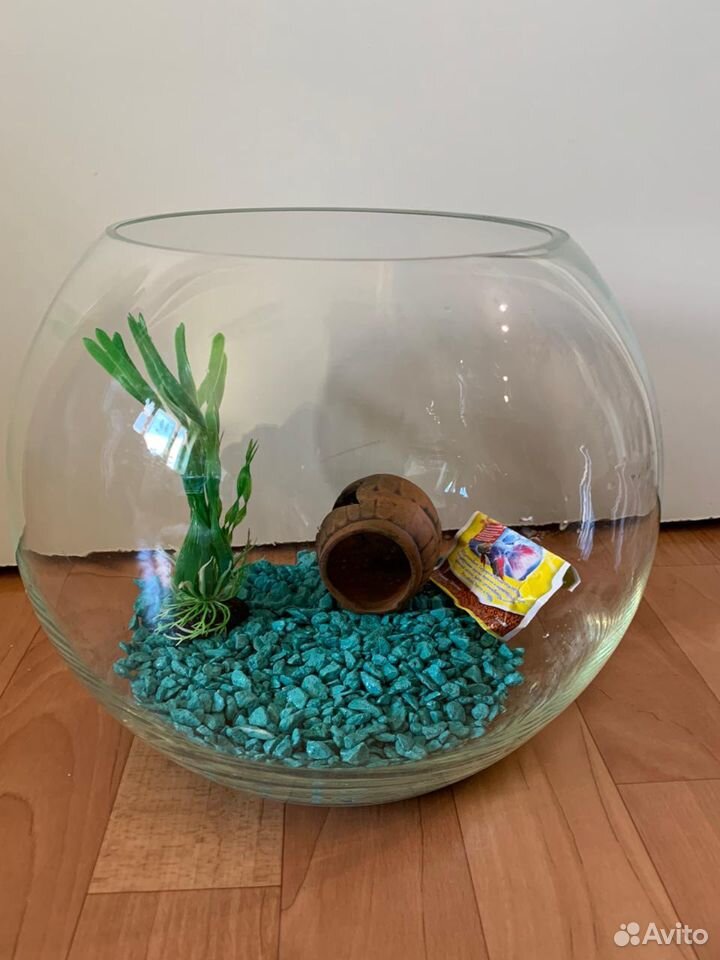 Аквариум круглый