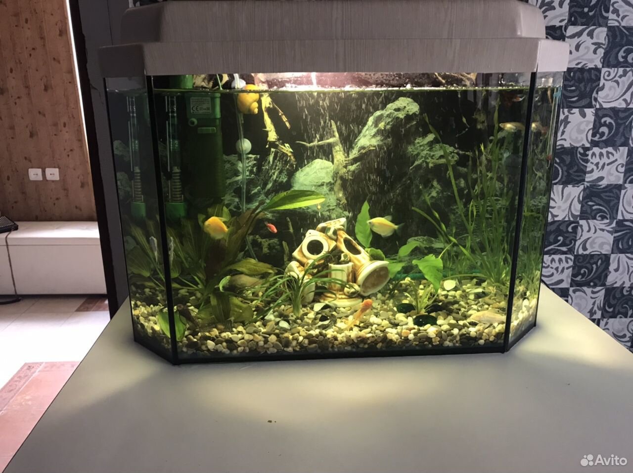 Аквариум