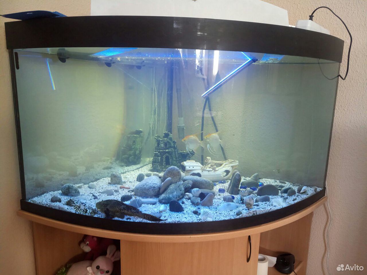 Аквариум