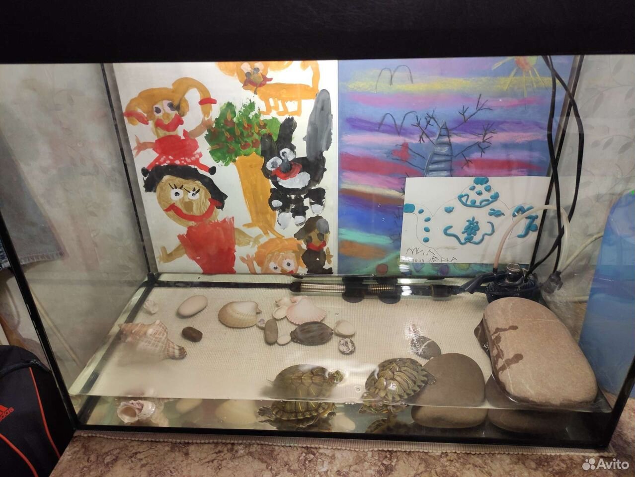 Черепахи красноухие