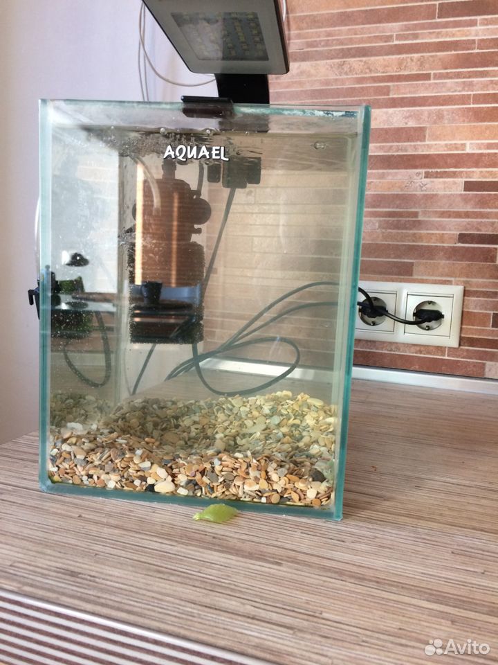 Аквариум