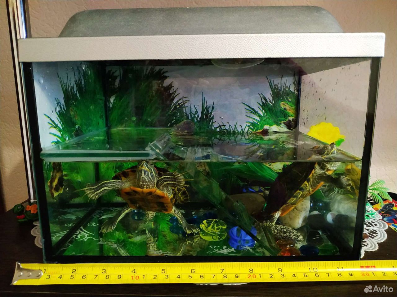 Черепахи +Террариум
