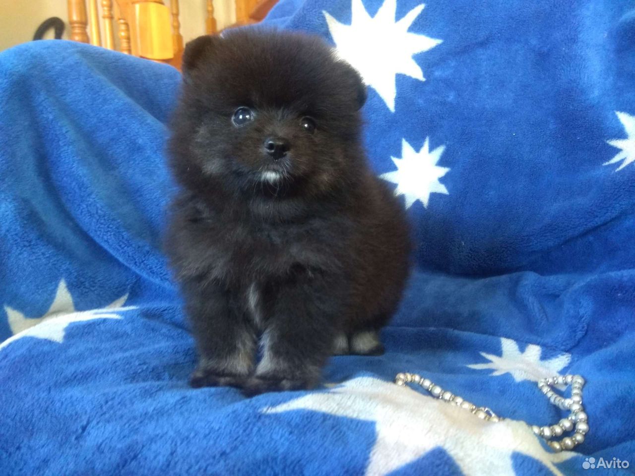 Девченочка