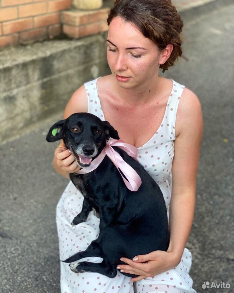 Ищет дом мелкая Собачка Бася