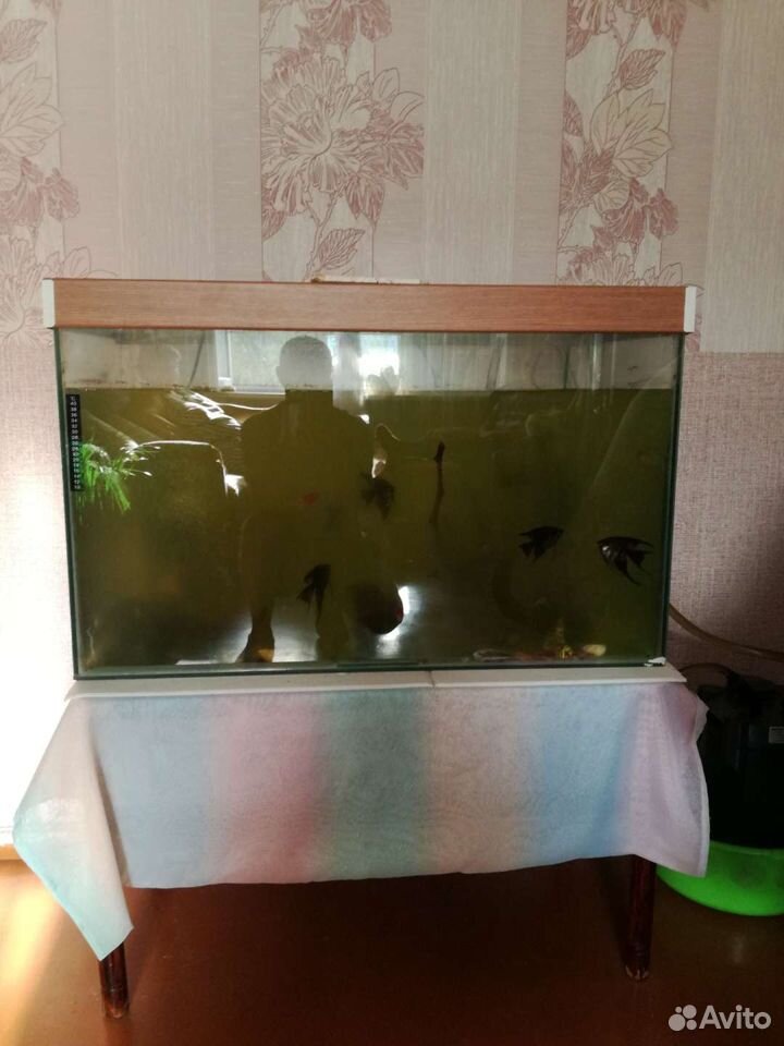 Аквариум