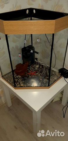 Аквариум 100 литров