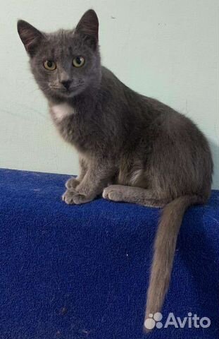 Фаня - нежная,ласковая девочка