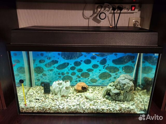 Аквариум 80 литров