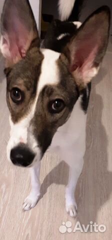 Тимошка из приюта