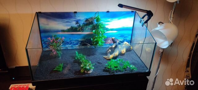 Акватеррариум для рептилий