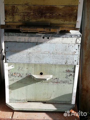 Пчелосемьи