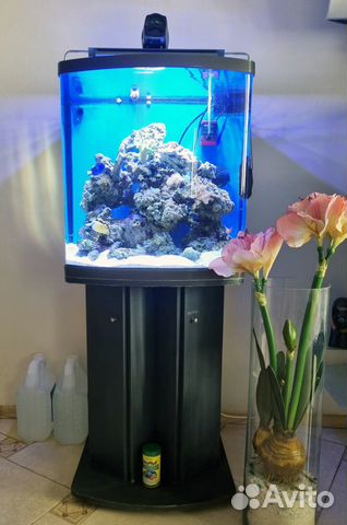 Морской аквариум