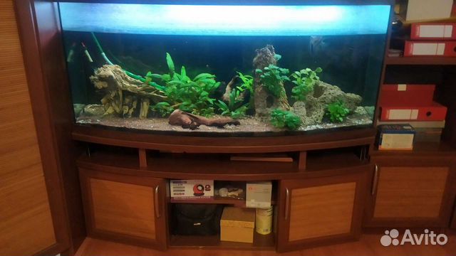 Аквариум juwel 450 л