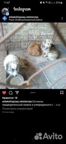 SOS,вопрос жизни и смерти, в беде