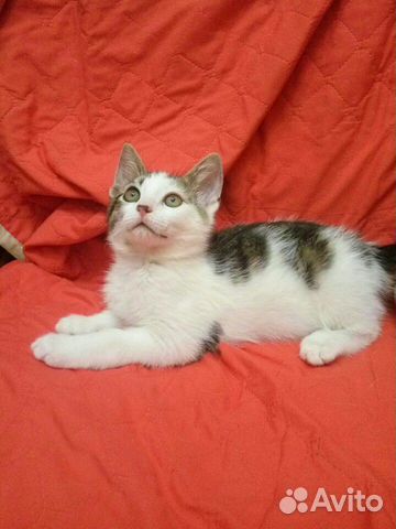 Очень ласковый малыш