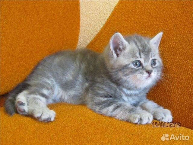 Нюша ждёт Вас