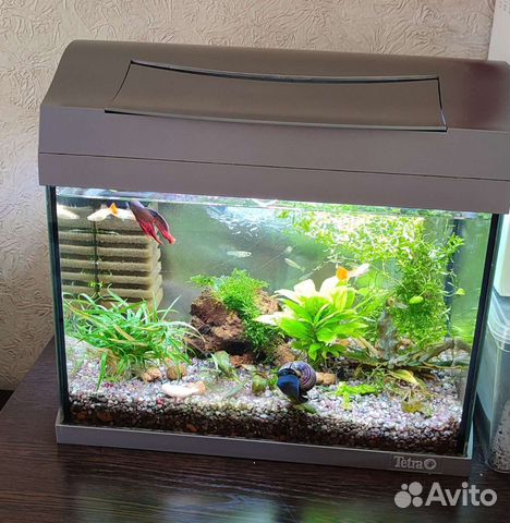 Аквариум Тетра 20 литров