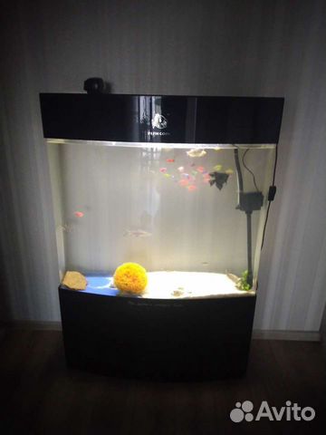Аквариум