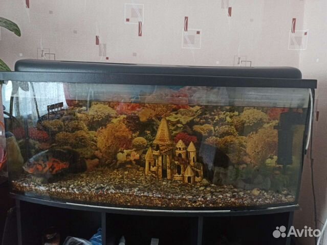 Аквариум
