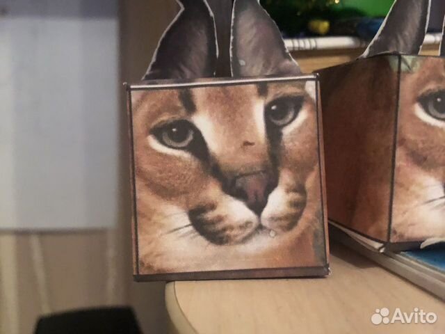 Шлепа русский кот