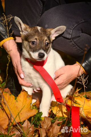 Малышка не видит, но мечтает о доме