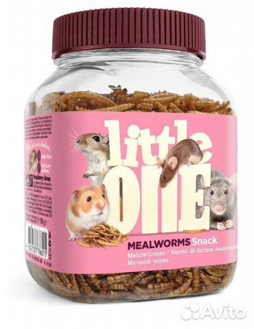 Мучной червь Little one для хомячков, грызунов