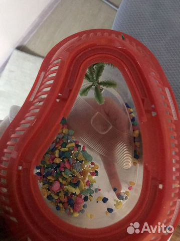 Аквариум маленький для черепашек