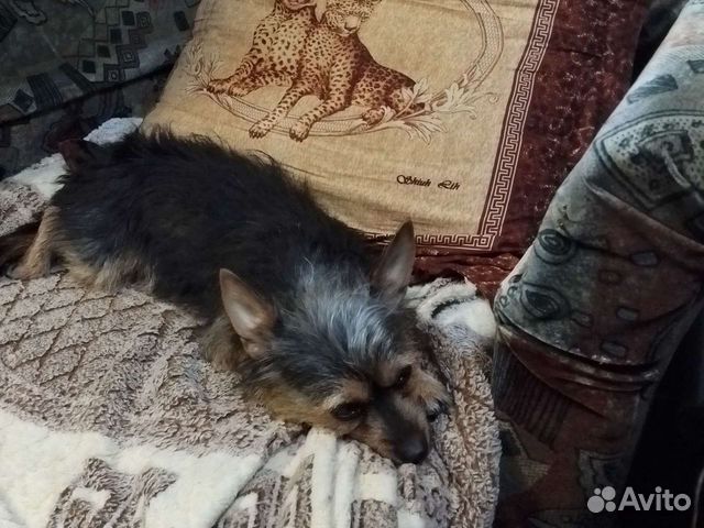 Нужна вязка