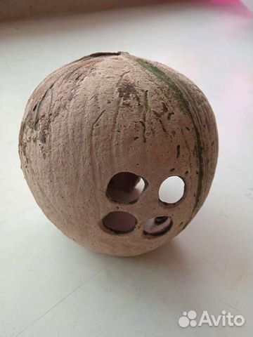 Домик из кокоса