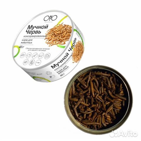 Onto Червь мучной консерв.д/живот,рептилий,рыб,еже