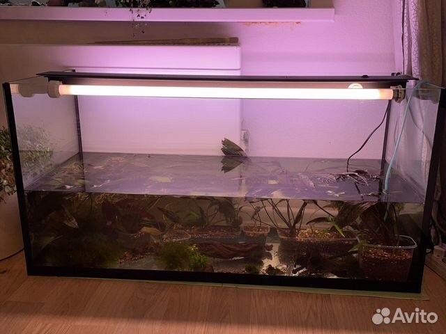 Аквариум б/у 200 литров