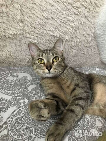 Масяня ждёт свою маму