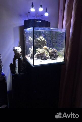 Аквариум