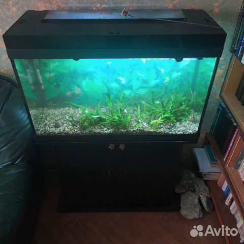 Аквариум с тумбой 150 л