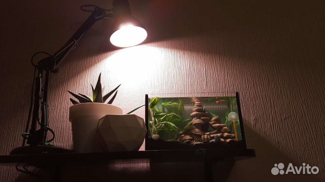 Аквариум 3,5 литра