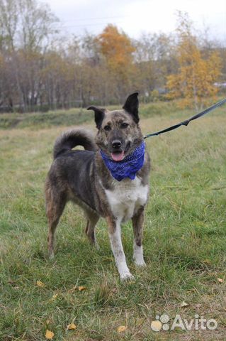 Даша ждёт своего человека