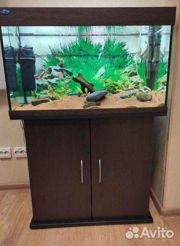 Аквариум 200л с тумбой