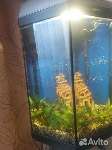 Аквариум