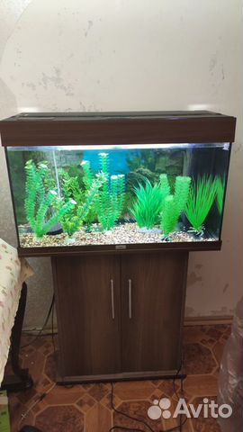 Аквариум Juwel Rio LED 125 c тумбой
